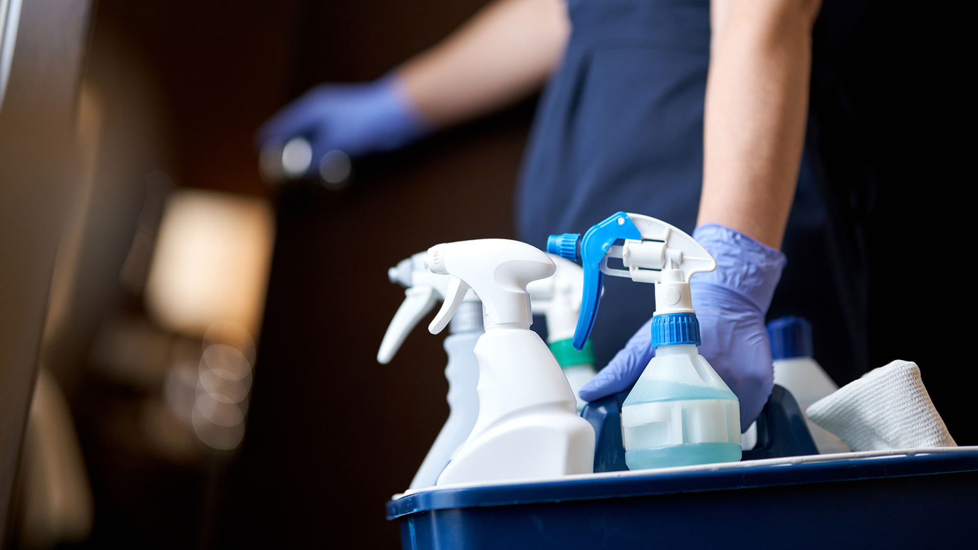 About Cleaners of Arizona | Local Residential Cleaning Services Phoenix ...